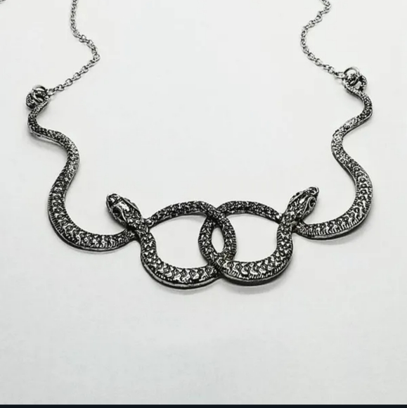 Jewelry | 2xhp Nwt Goth Silver Serpentine Coiled Double Snakes Necklace | Poshmark